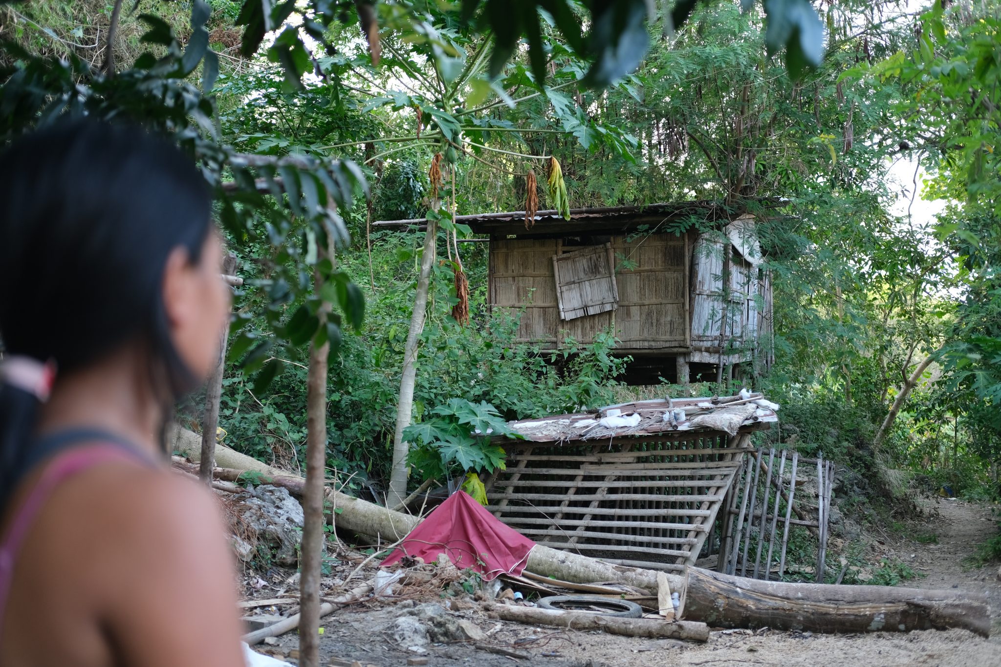 Building Back Safer After Super Typhoon Egay - CARE Philippines ...